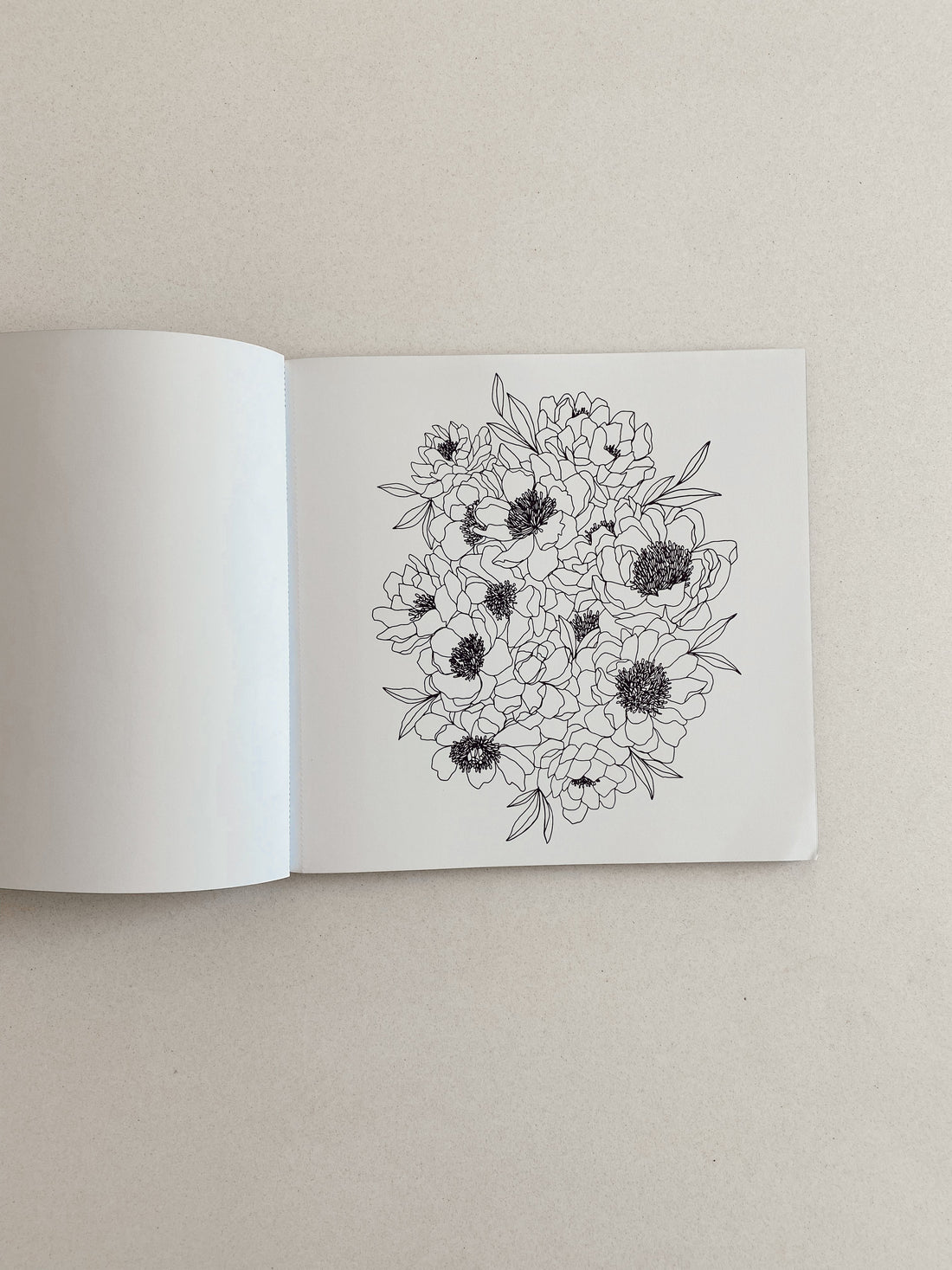 Bloom Coloring Book – Alli K Design Shop